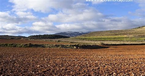 Visita Por El Moncayo Concurso Fotografico Ruta De La Garnacha