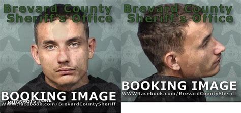 Wise Dylan Chaise 05 26 2024 Brevard County Mugshots Zone