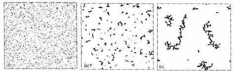 10 Computer Simulation Of Cluster Cluster Aggregation With 2000