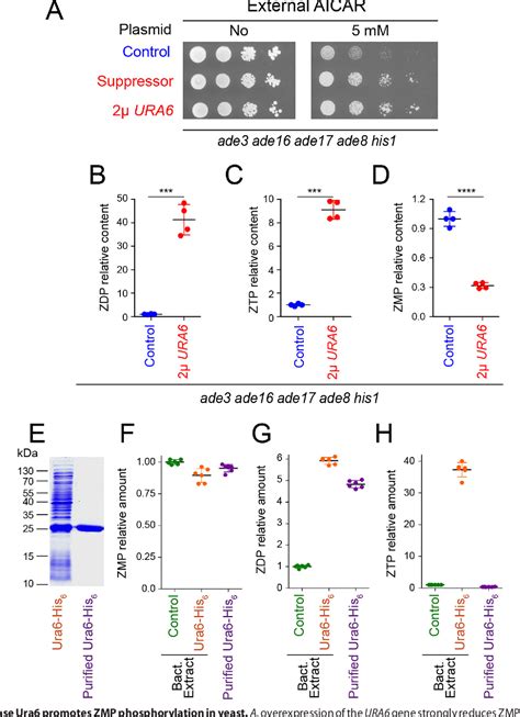 Figure 3 From Metabolomics And Proteomics Identify The Toxic Form And