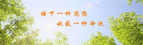 整体方案 上海华大应用心理研究院