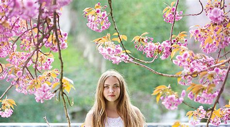 Spring Allergies Myths Causes Treatments And Prevention Broadsheet