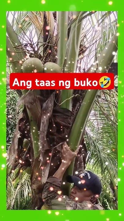 Akyat Buko Highlights Youtubeshorts Highlights Mlbb Youtube