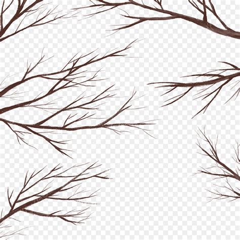 รูปกิ่งยาว Png ภาพกิ่งยาวpsd ดาวน์โหลดฟรี Pngtree