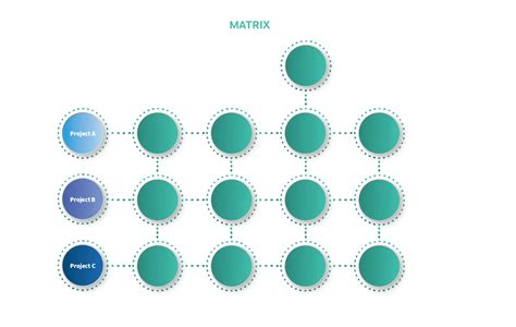 Top Down To Team Oriented Examining Organisational Structures