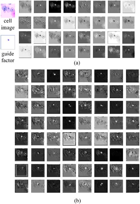 Figure 1 From Segmentation Of Cervical Cell Images Based On Generative