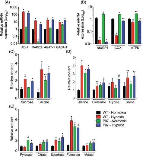 Metabolite And Transcript Profiles Of Atucp1 Overexpressing And Wt Download Scientific Diagram