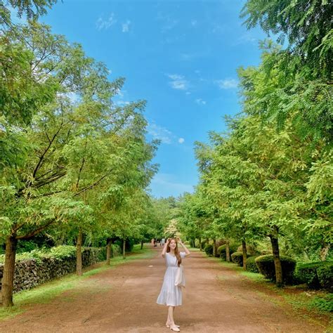 뚜벅이를 위한👣 제주 2박 3일 여행 코스 세시간전