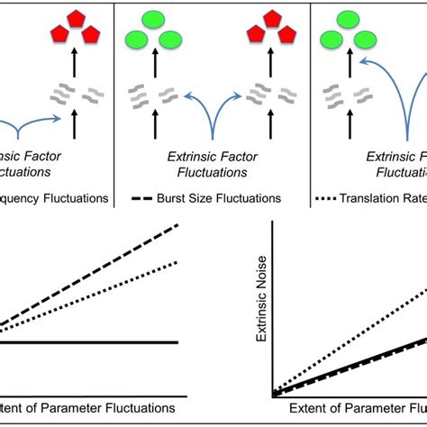 Gene Expression Variability For Individual Parameter Download Scientific Diagram