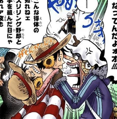 투디갤 원피스 펑해 루피 코트 남의 옷 뺏어입은게 제일 신기함