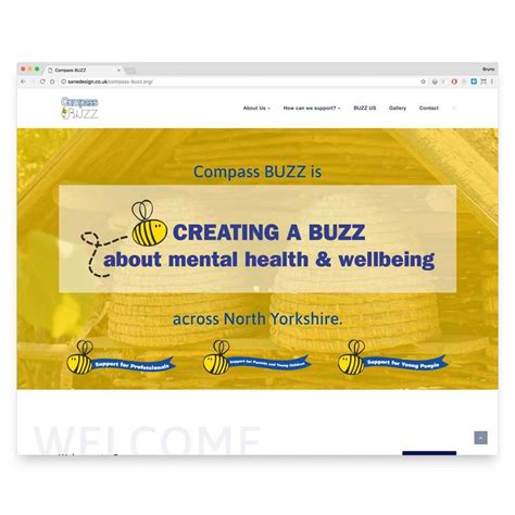 Compass Buzz Website Sane Design