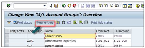 SAP FI Chart Of Accounts Go Coding