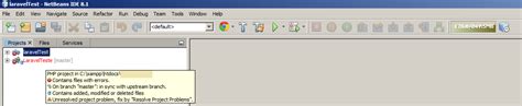 Netbeans Está Identificando Como Erros Aguns Arquivos Do Laravel Como