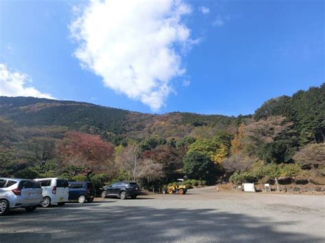 森林再生パートナー活動報告 トピックス 株式会社カナエル