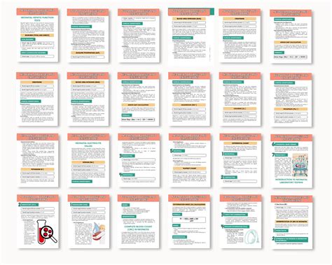 Comprehensive Neonatal Lab Values And Calculations Guide Essential