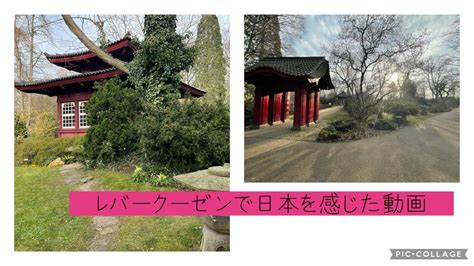 【チェコ留学】レヴァークーゼンで日本を感じてきました！ Youtube
