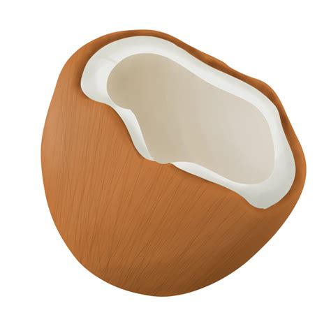 Coconut Tropical Fuit Illustration 35489878 Png