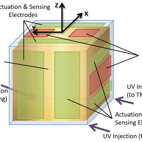 Drawing Of Lpf Grs Note That The Electrode Orientation Is The Same On Download Scientific