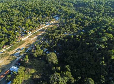 Manejo Forestal Comunitario Organización Manejo Y Conservación