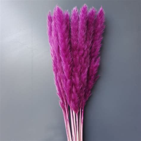 Fluffy Slim Stick Pampas Grass Purple Pre Order Floral Fields