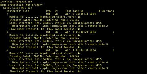 Juniper Mx搭建bgp信令的mpls L2 Vpls组网 网工格物 Blog