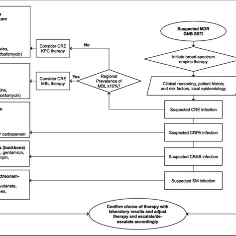Classes Of Carbapenemases According To Ambler Classification Download Scientific Diagram