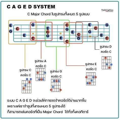 เล่นคอร์ดกีตาร์ได้ทั่วคอ ด้วย C A G E D The String Class Facebook