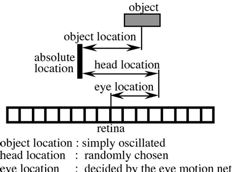 Relation Between Retina And Object In The Vestibulo Ocular Reflex Model Download Scientific