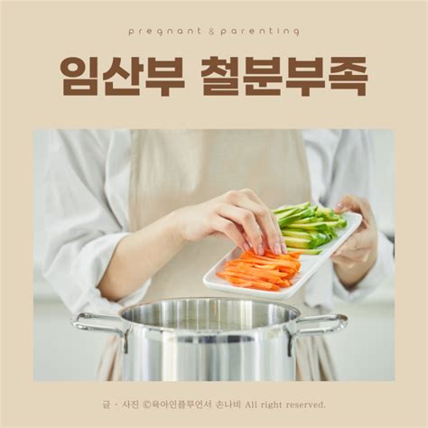 임산부 철분부족 음식 권장량 복용시기 빈혈수치 저혈압 어지러움 네이버 블로그