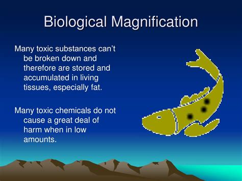 Ppt Biological Magnification Powerpoint Presentation Free Download Id 6122299