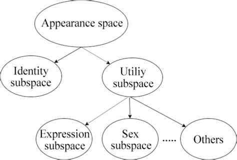 Illustration Of Appearance Subspace Decomposition Download Scientific Diagram