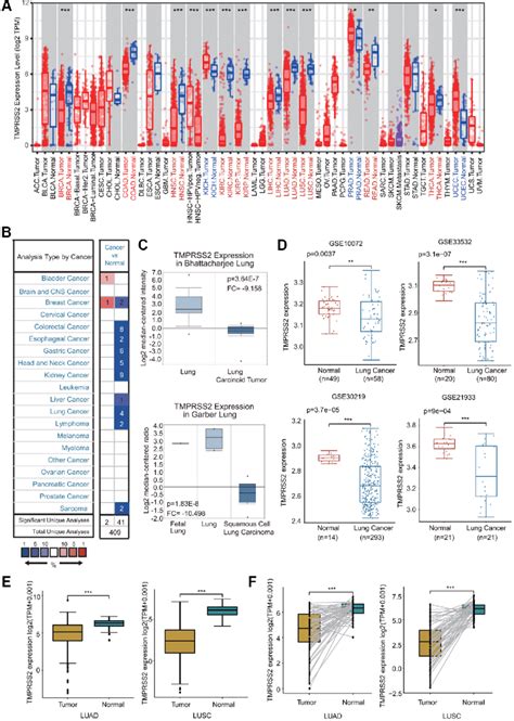 Tmprss2 Expression In Lung Cancer A The Mrna Expression Of Tmprss2