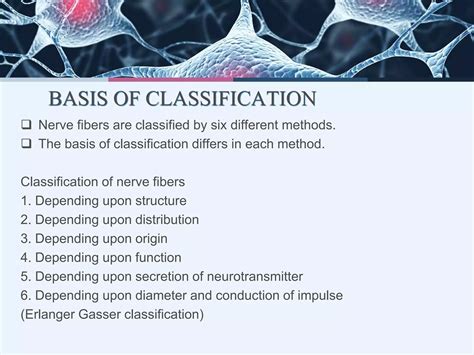 Classification Of Nerve Fibres Pptx