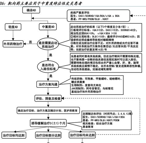 艳向药主要应用于中重度特应性皮炎患者 2024年10月 行业研究数据 小牛行研