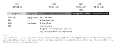 Figure 1 From Resting State Prefrontal Eeg Biomarker In Correlation
