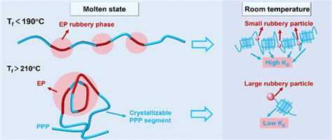 Phase Separation Behaviors And Correlated Crystallization Of β