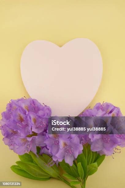 마음과 꽃 카드입니다 부드럽게 라일락 진달래 꽃과 노란 파스텔 바탕에 분홍색 심 혼 발렌타인의 하루입니다 어머니의 날입니다 국제 여성의 날 0명에 대한 스톡 사진 및 기타