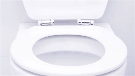 How To Stop A Squeaking Toilet Seat Easy 5 Step Guide ‐ Service First