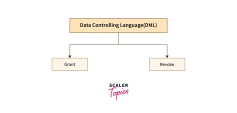 Grant Command In Sql Scaler Topics