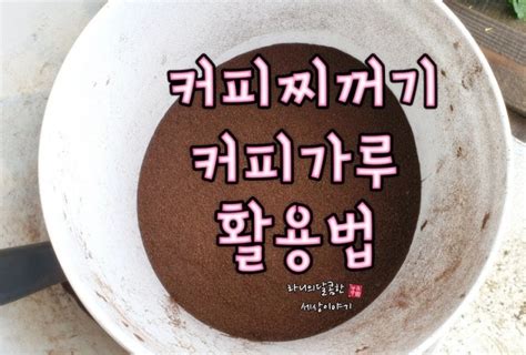 커피찌꺼기 활용법 화분초파리 여름 초파리 100 없애는법 커피가루가 최고 네이버 블로그