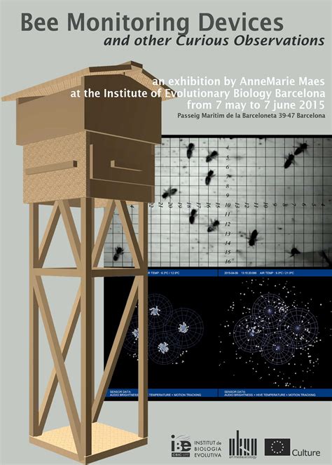 2015 Bee Monitoring Devices And Curious Observations Annemariemaesnet
