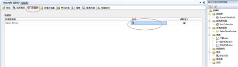 Ssas Cube角色和权限设置问题 程序员大本营