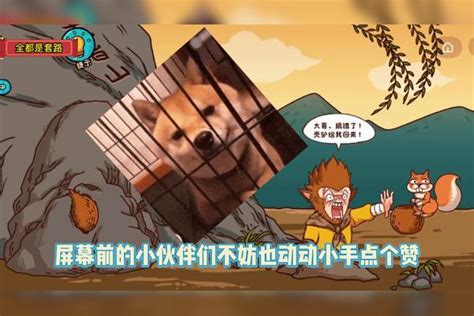 搞笑带梗娱乐小游戏脑洞大开万万没想到的手游 娱乐 手游