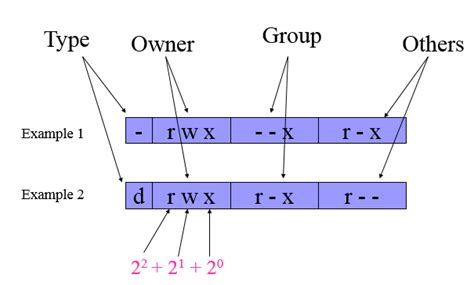 Information Technology Lessons Unix File Type