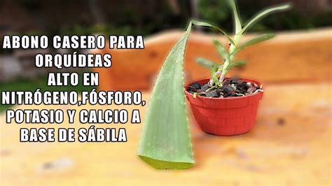 Abono Casero Alto en NPK a base de SABILA para Orquídeas Orquiplanet