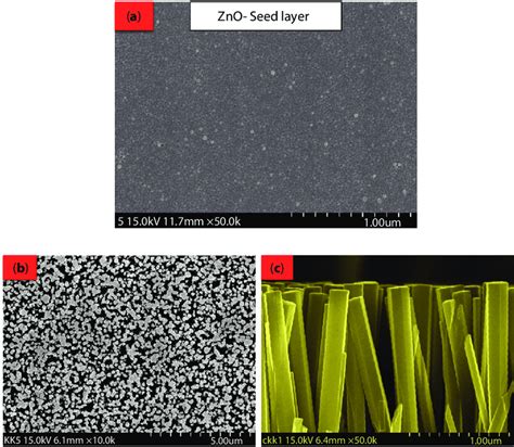 10 A FESEM Micrographs Ofa ZnO Seed Layer B Top Viewof ZnO
