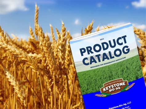 What Is Pectin In Plants And How To Improve It