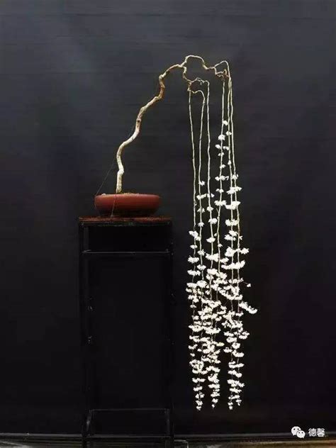 震惊！盆景价值上亿，美得无与伦比~要素审美古雅
