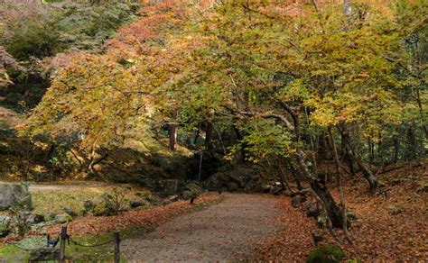 Daigo Ji Temple Background Images Hd Pictures And Wallpaper For Free