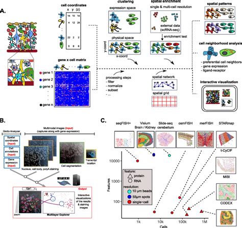 The Giotto Framework To Analyze And Visualize Spatial Expression Data